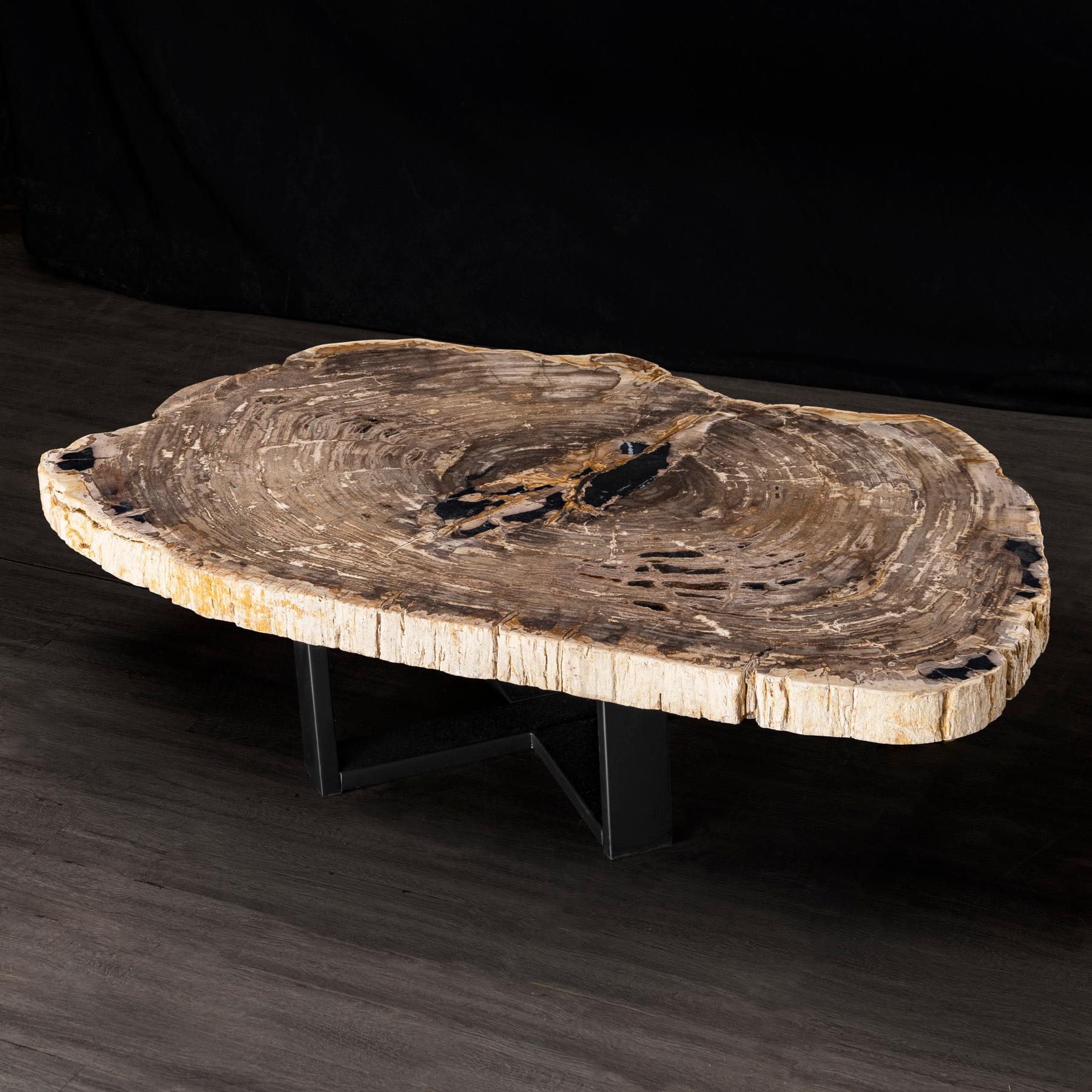 Center or Coffee Table, Natural Shape, Petrified Wood with Metal Base ...