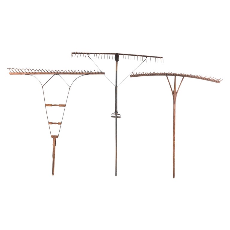 Central European Hay Rakes, Set of Three at 1stDibs