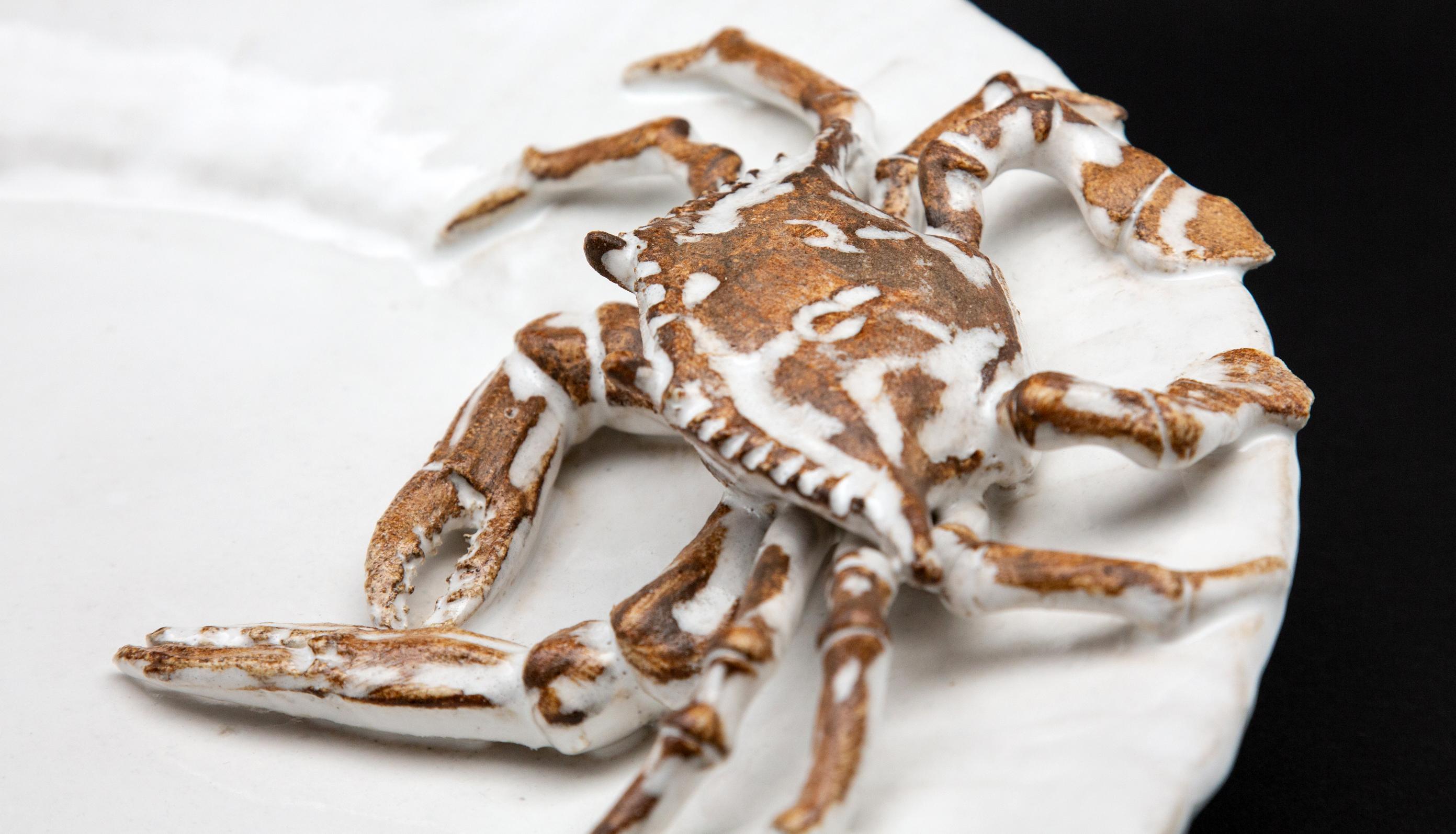 Ceramic Crab Platter at 1stDibs
