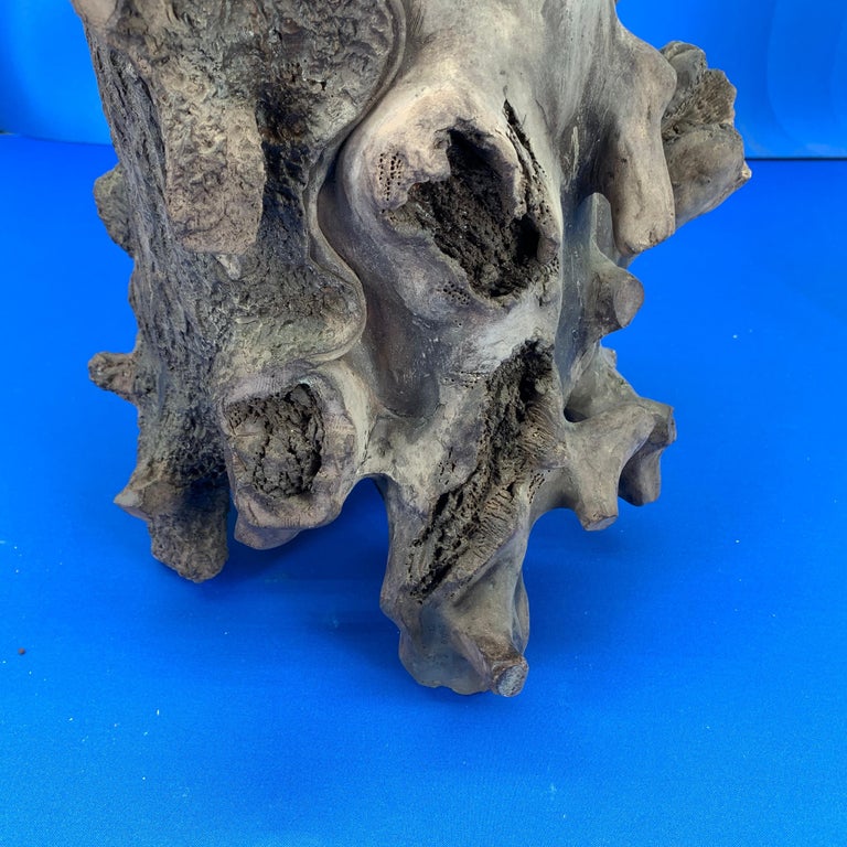 Ceramic Faux Bois Tree Trunk Planter Or Jardinière at 1stDibs