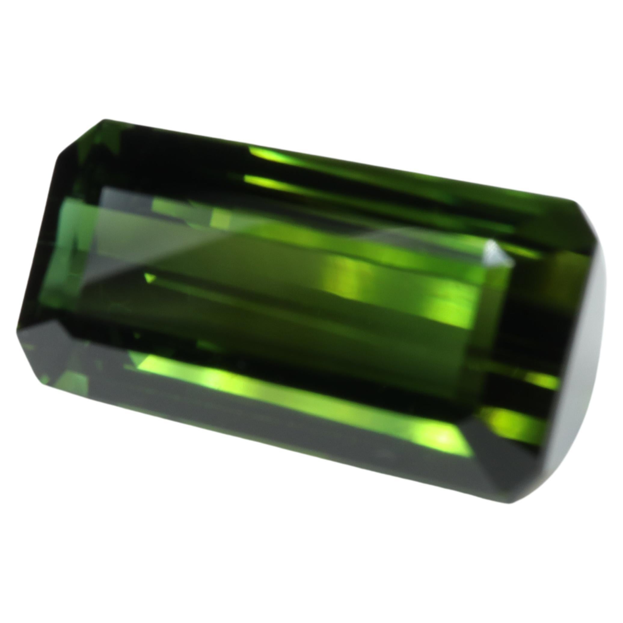 Certified Vivid Green Tourmaline - 24.82ct For Sale at 1stDibs