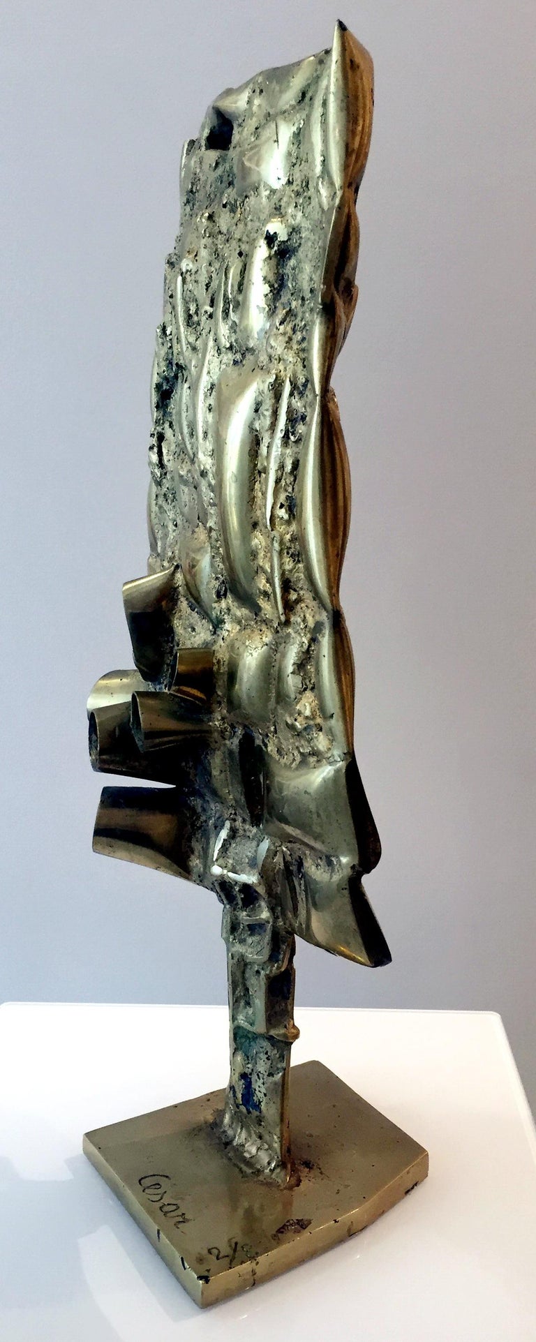 César Baldaccini - César Maillard Plate Bronze Sculpture 1971 Plaque ...