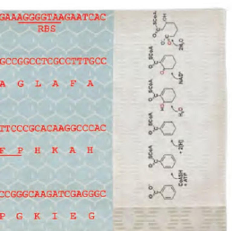 CF V8 2014-2015 by Caturegli Formica For Sale at 1stDibs