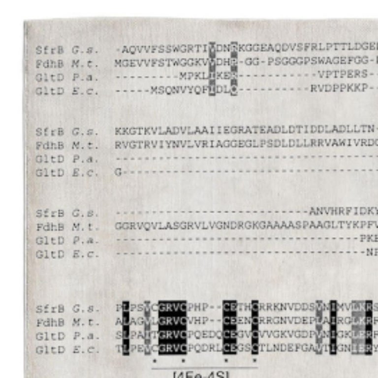 CF V9 by Caturegli Formica For Sale at 1stDibs