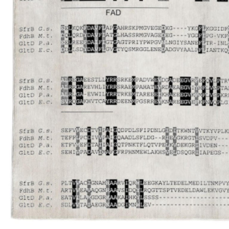 CF V9 by Caturegli Formica For Sale at 1stDibs