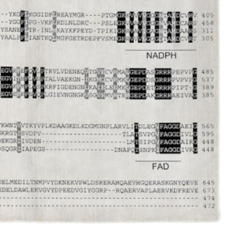 CF V9 by Caturegli Formica For Sale at 1stDibs