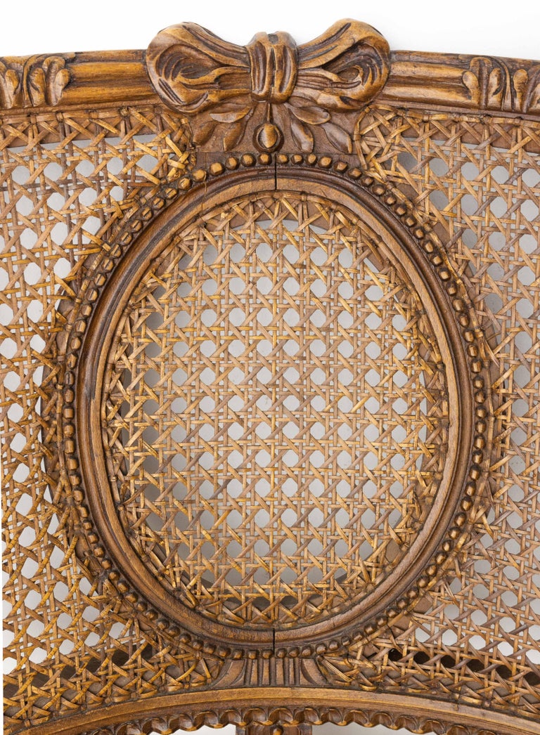 Chair Beech and Cane in the Louis XVI Style, French, circa 1900 at 1stDibs