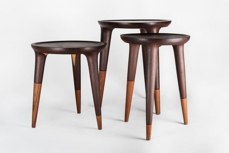 Minimalist Modern Side Tables Set in Tropical Hardwood For Sale at ...