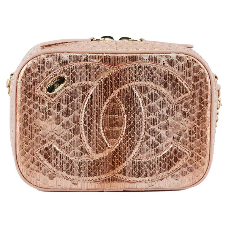 Chanel 2019 Mania Camera Case Metallic Python And Leather Shoulder Bag ...
