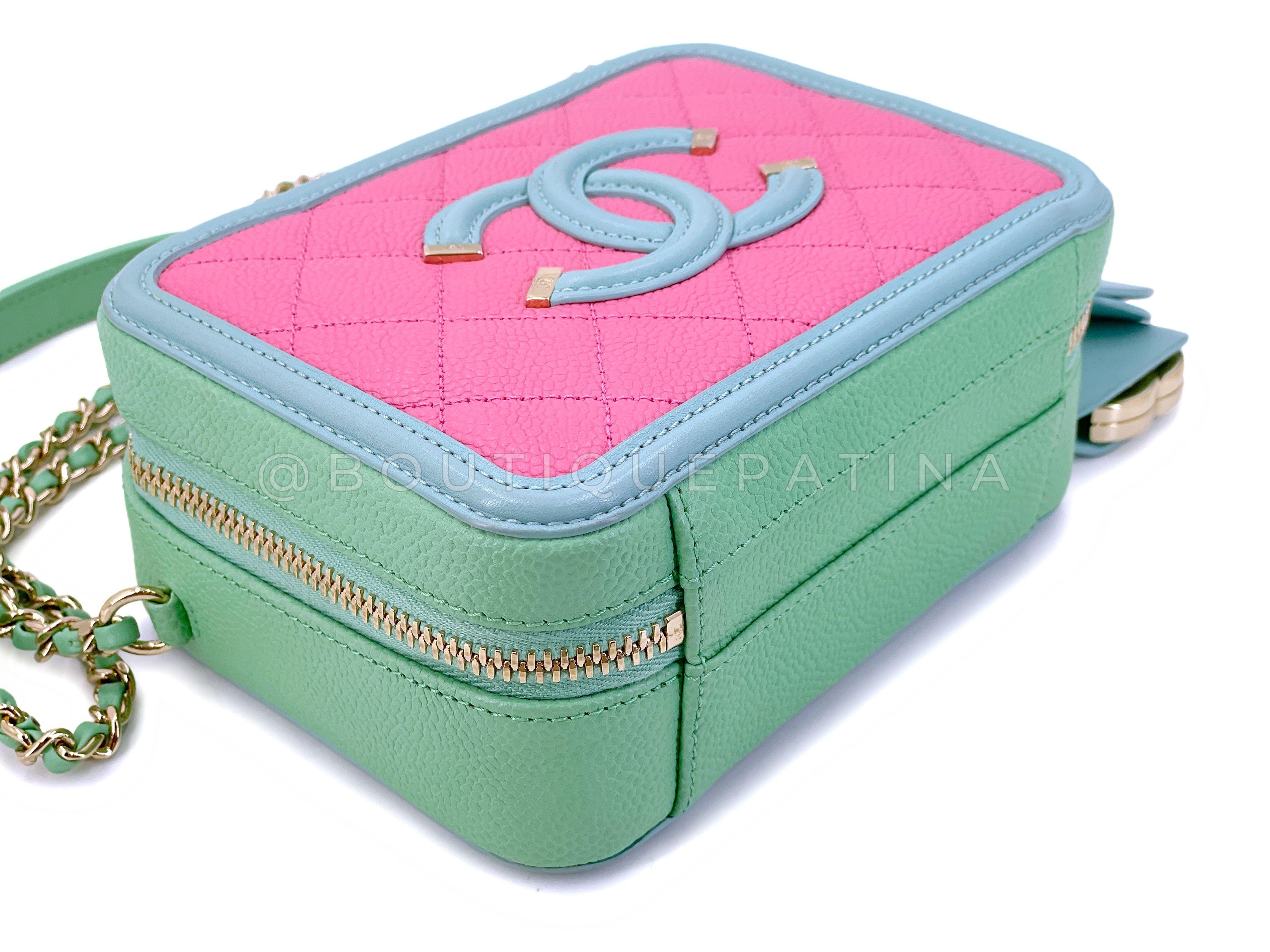 Chanel 2019 Pink/Green/Blue Caviar Filigree Vanity Case Bag 67701 For ...