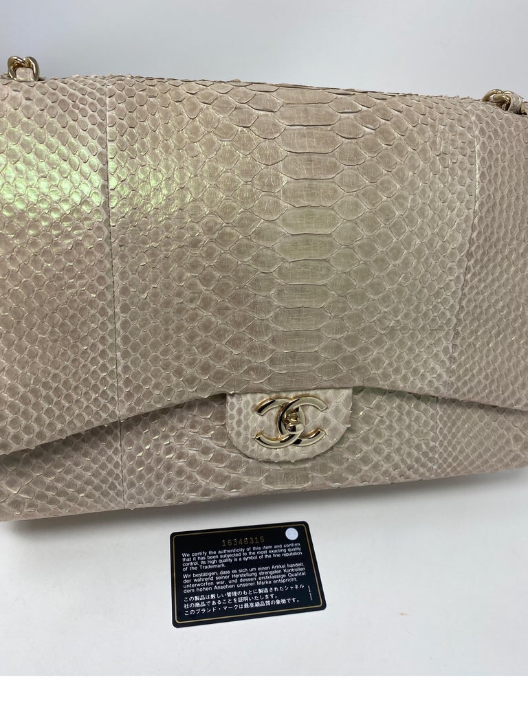 Chanel Exotic Python Maxi Double Flap Bag at 1stDibs