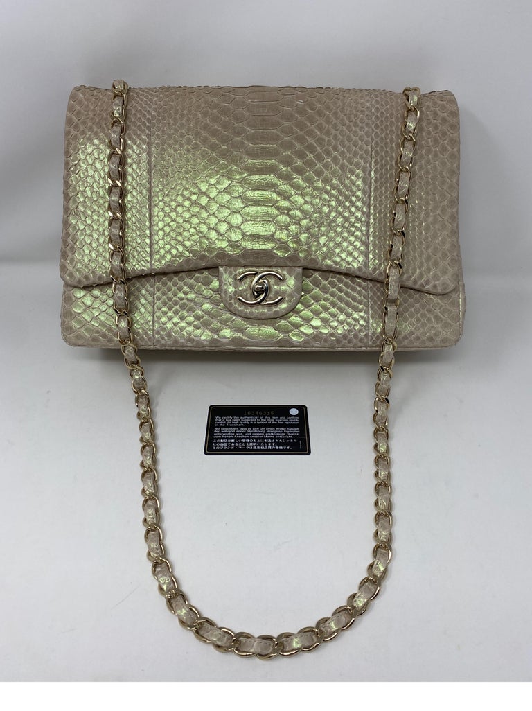 Chanel Exotic Python Maxi Double Flap Bag at 1stDibs