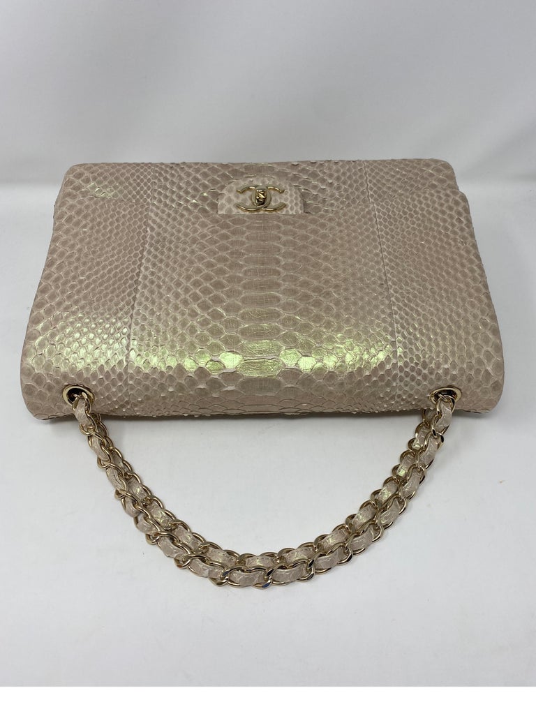 Chanel Exotic Python Maxi Double Flap Bag at 1stDibs