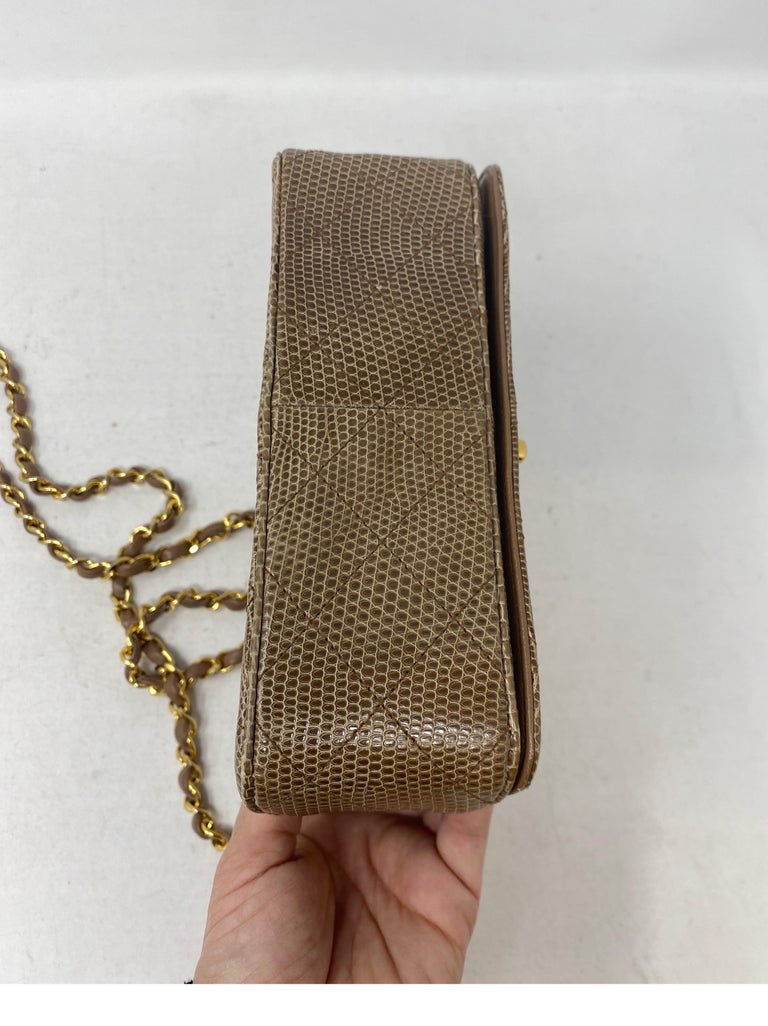 Chanel Exotic Snakeskin Mini Bag For Sale at 1stDibs