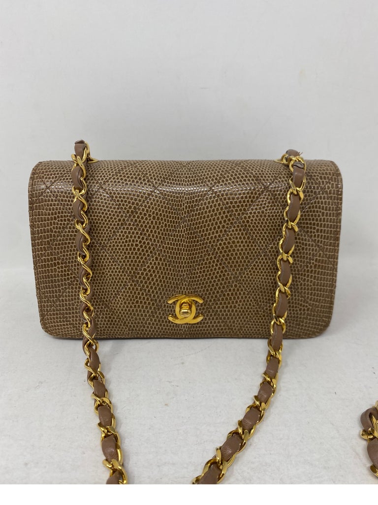 Chanel Exotic Snakeskin Mini Bag For Sale at 1stDibs