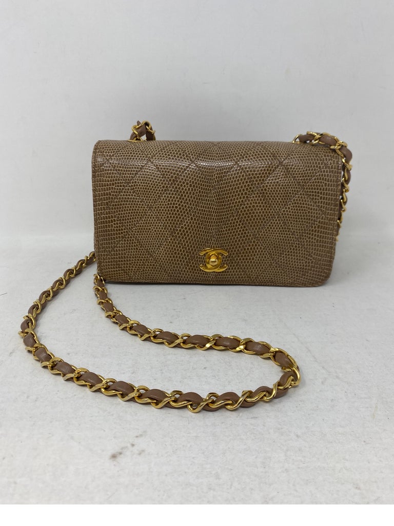 Chanel Exotic Snakeskin Mini Bag For Sale at 1stDibs