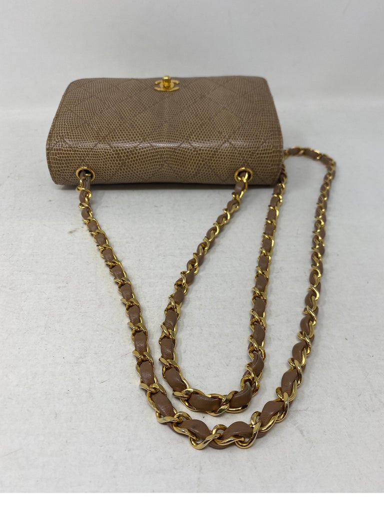 Chanel Exotic Snakeskin Mini Bag For Sale at 1stDibs