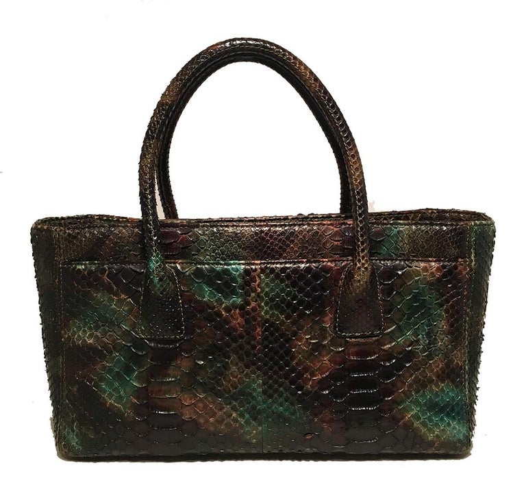 Chanel Green and Brown Multicolor Python Snakeskin Cerf Tote Handbag ...