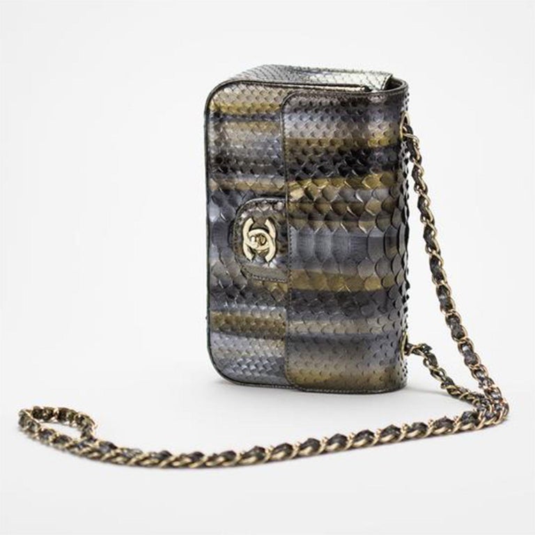 Chanel Ombré Python Exotic Snakeskin Rare Classic Flap For Sale at 1stDibs