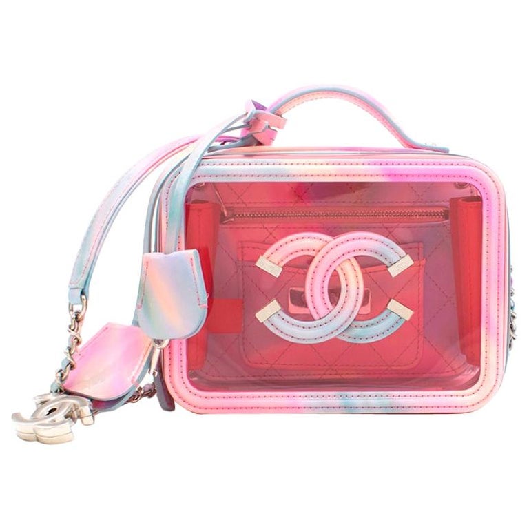 Chanel Small Vanity Case in PVC and Pastel Calfskin at 1stDibs | chanel ...