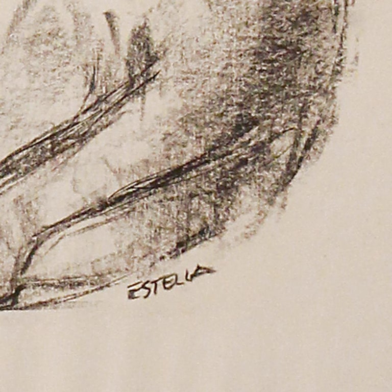 Charcoal Drawing of a Cat Washing by Dutch Artist Estella Den Boer For ...