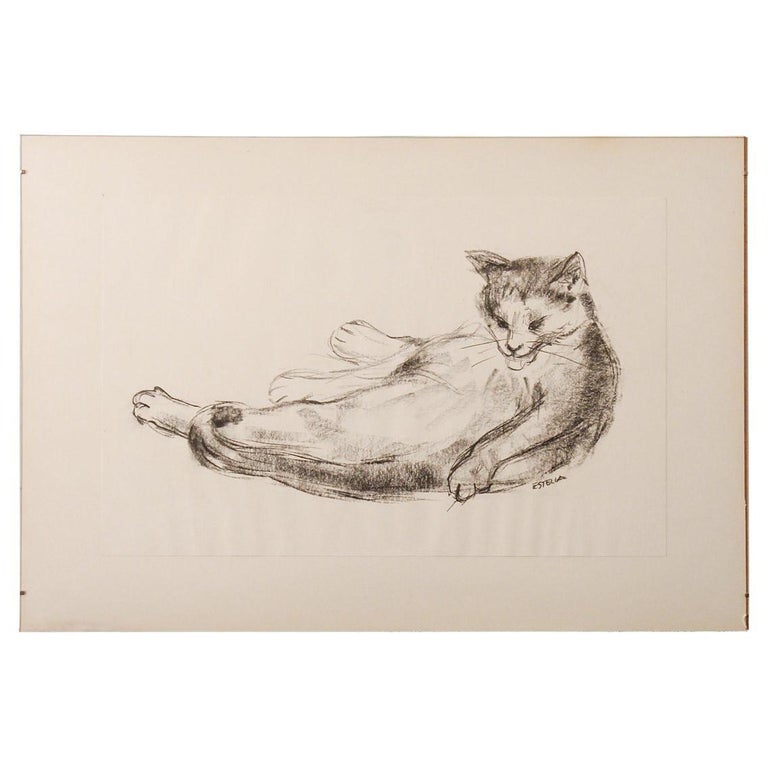 Charcoal Drawing of a Cat Washing by Dutch Artist Estella Den Boer For ...
