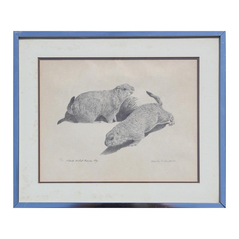 Charles Beckendorf - Naturalistic Texas Black Tailed Prairie Dog Black ...