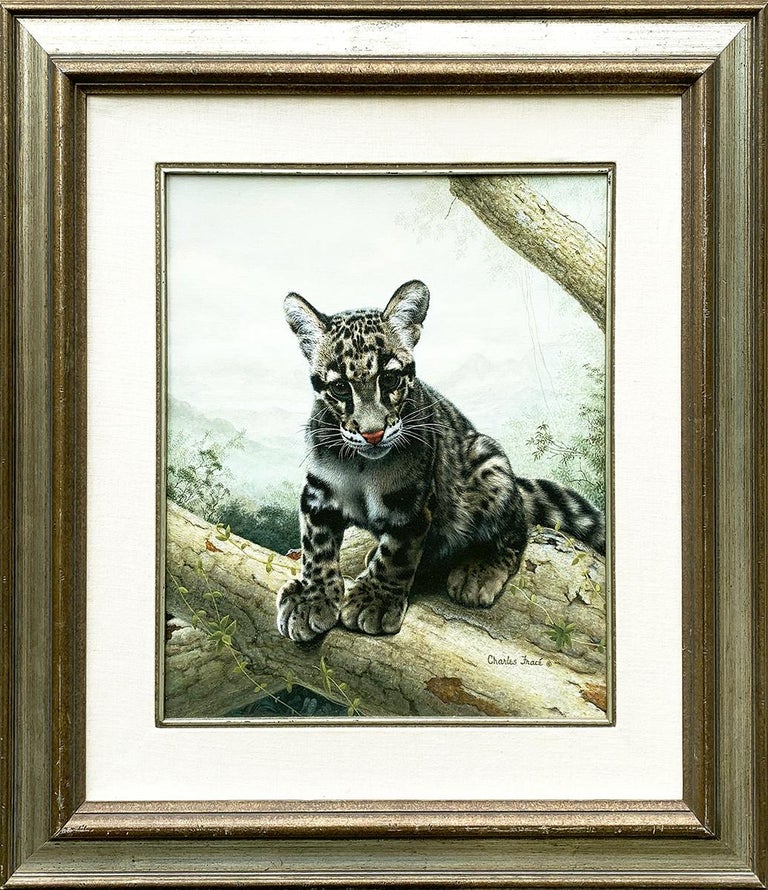 Charles Fracé - Leopard Cub For Sale at 1stDibs