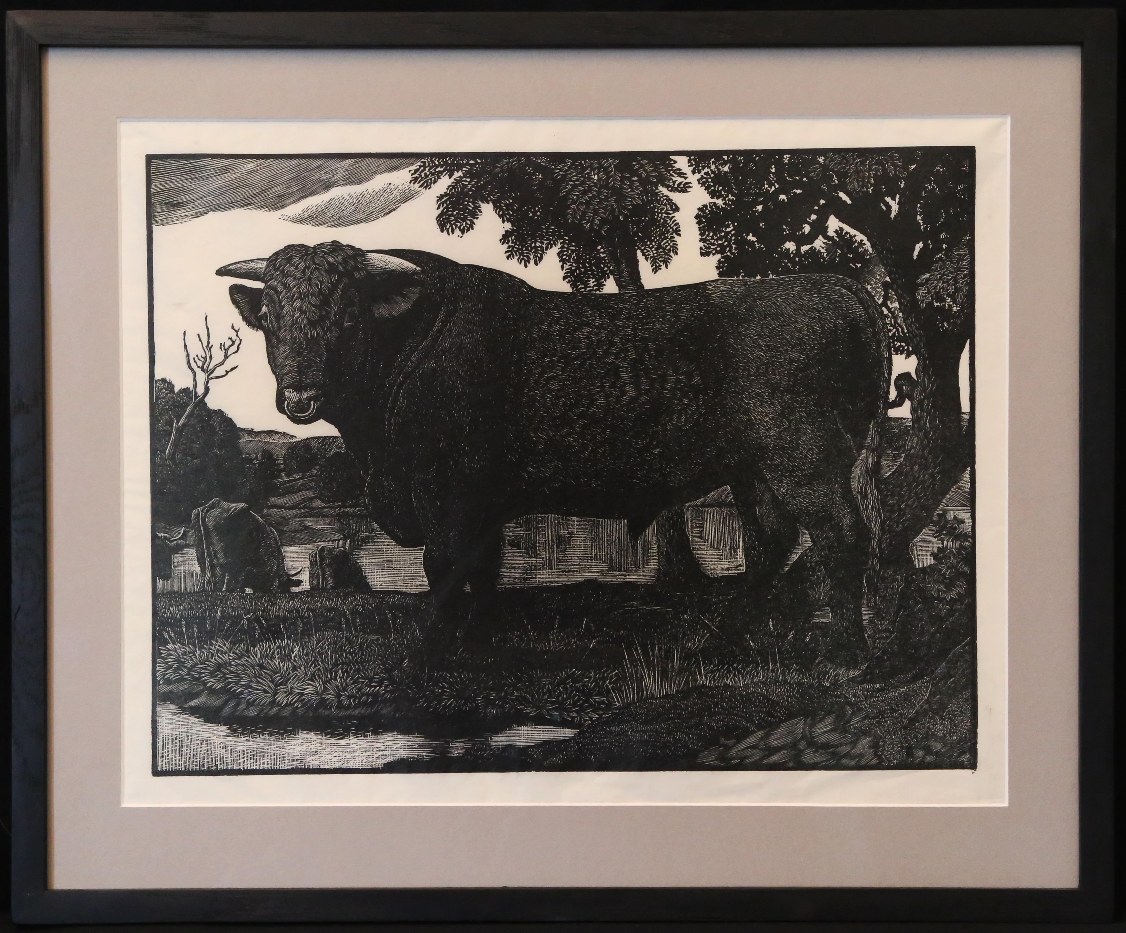 Charles Frederick Tunnicliffe - A prize shorthorn bull at 1stDibs ...