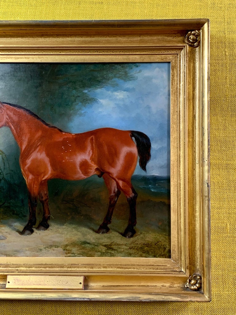 Charles Hancock - 19th century oil on canvas a Bay Horse and a Terrier ...