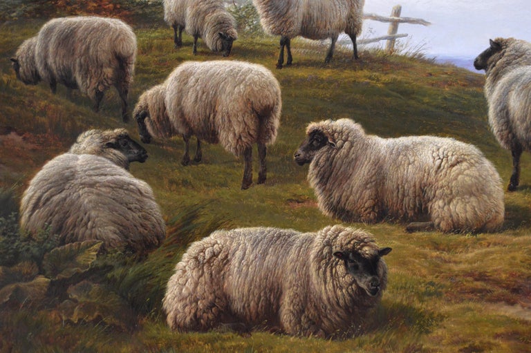 Charles Jones (b.1836) - 19th Century landscape oil painting of Sheep ...