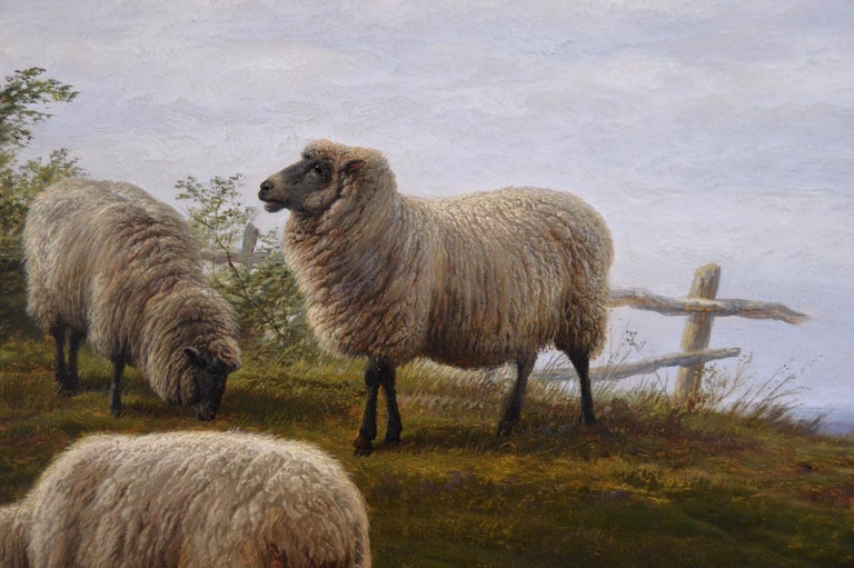 Charles Jones (b.1836) - 19th Century landscape oil painting of Sheep ...
