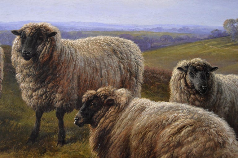Charles Jones (b.1836) - 19th Century landscape oil painting of Sheep ...