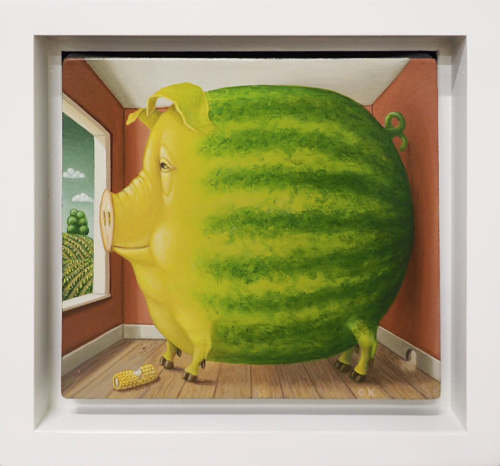 Zoa Ace - Cheshire's Dream For Sale at 1stDibs