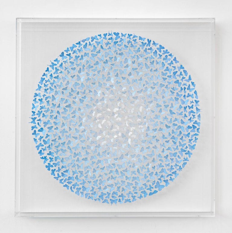 Charles Patrick - Cool Clean Air / Solid Circle Blue Silver Butterflies ...