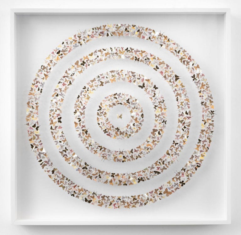 Charles Patrick - Les illusions s'embrasent En vente sur 1stDibs
