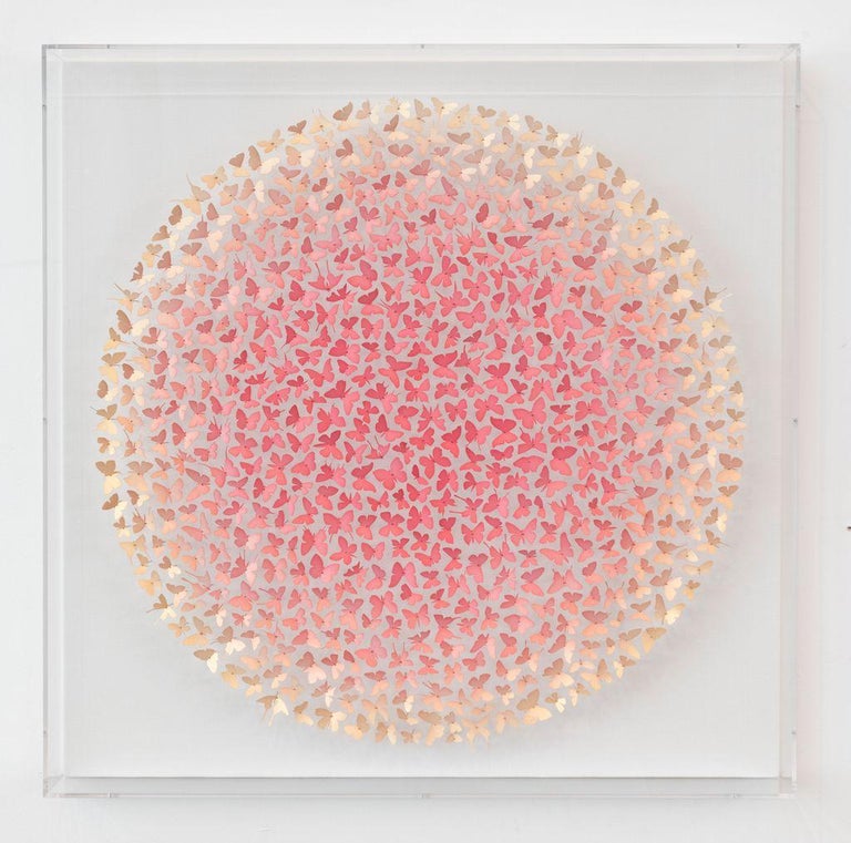 Charles Patrick - Watercolor Eyes For Sale at 1stDibs