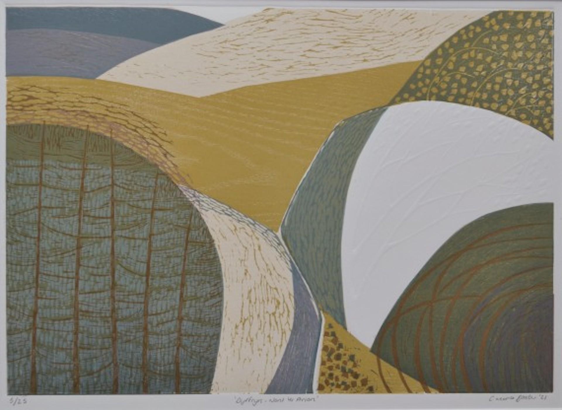 Anne Marie Ploug - Scandinavian Linocut, “Asashoryu Akinori, Sumo 12 ...