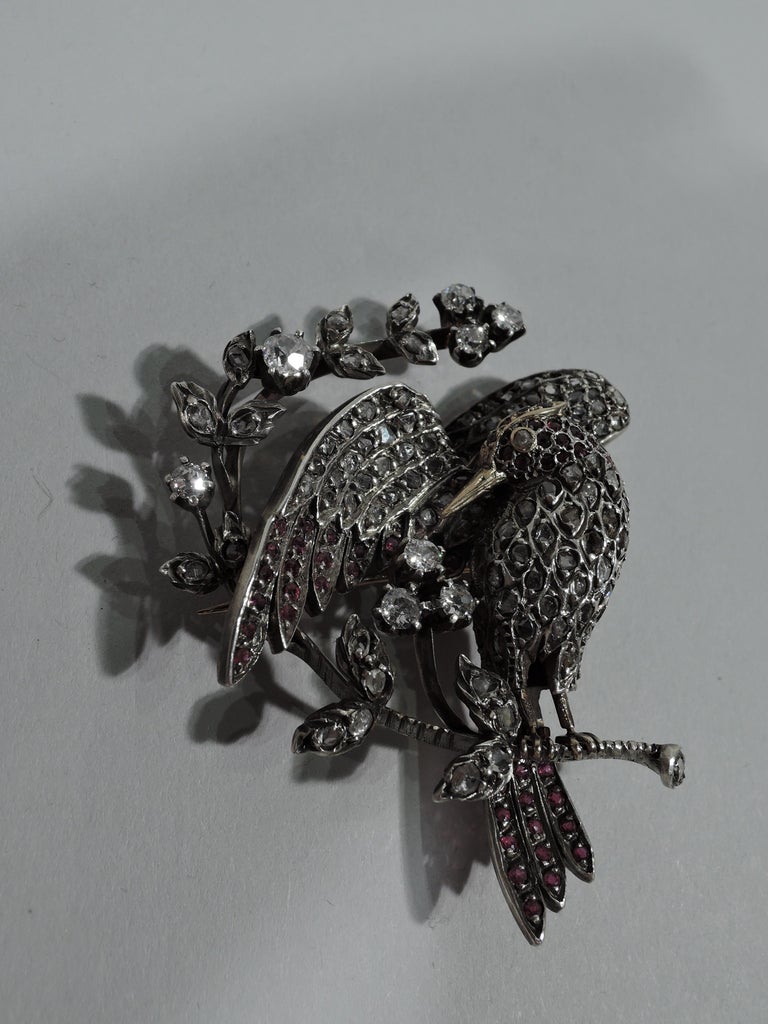 Charming Antique English Diamond and Ruby Bird Brooch For Sale (Free ...