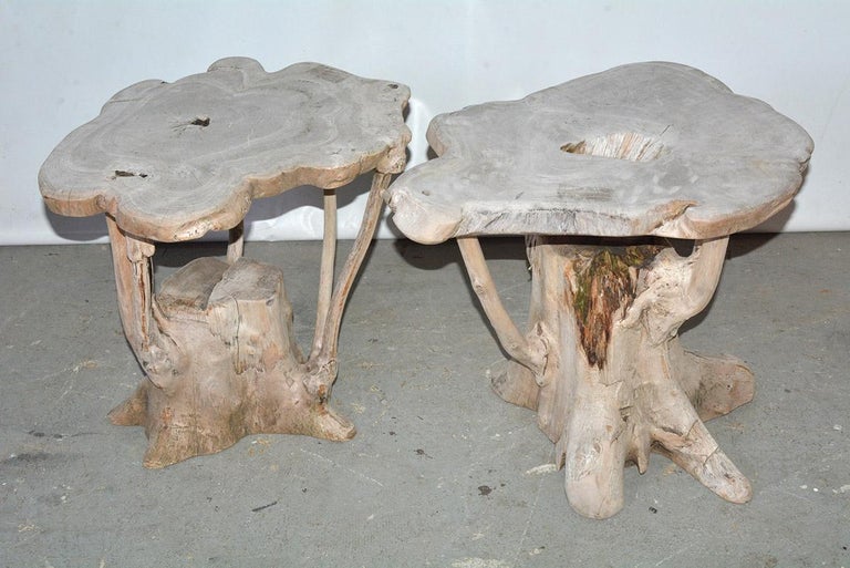 Modernist Organic Tree Root Table or Garden Seat at 1stDibs