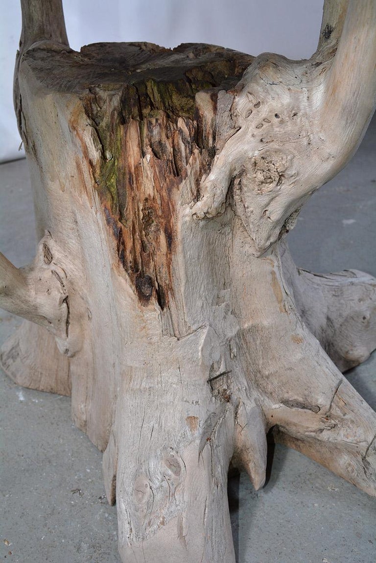Modernist Organic Tree Root Table or Garden Seat at 1stDibs