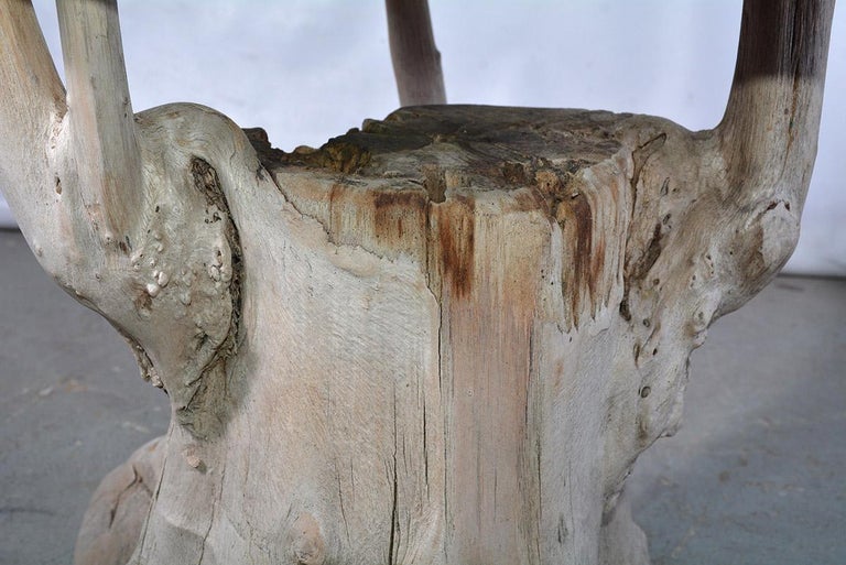 Modernist Organic Tree Root Table or Garden Seat at 1stDibs