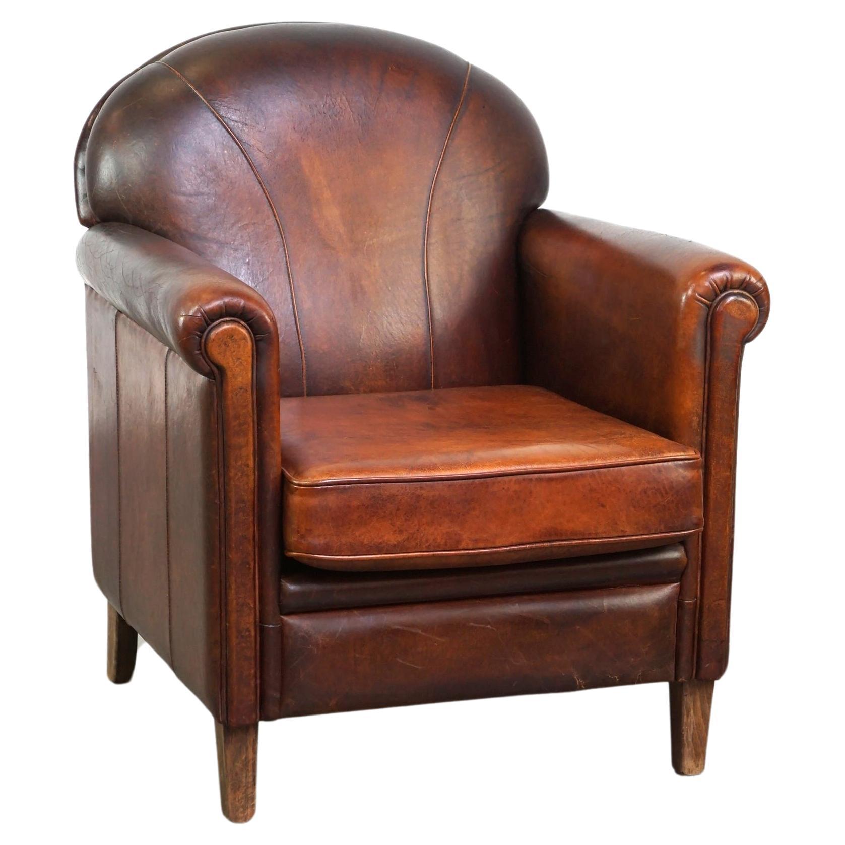 Charming Sheepskin Design Armchair with a Beautiful Color Combination ...