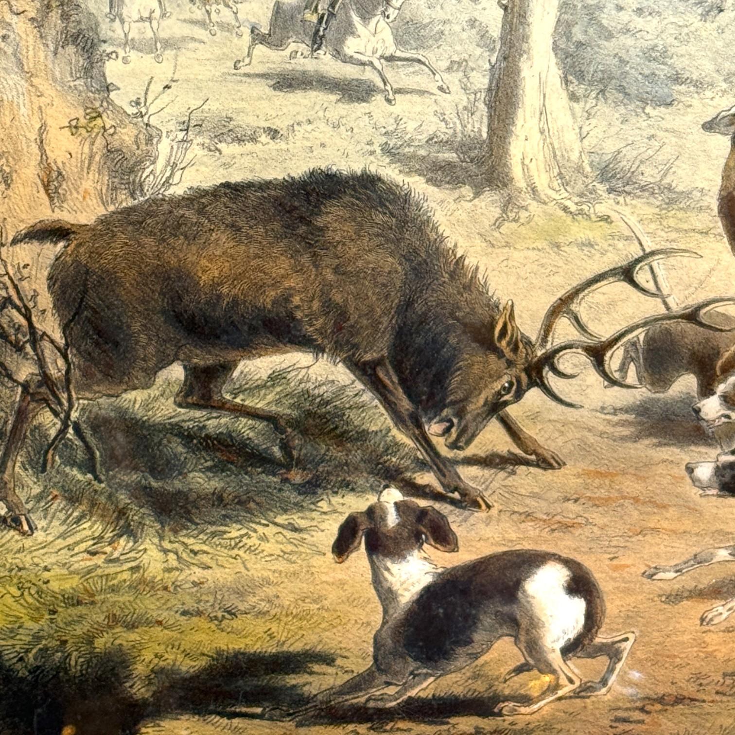 “Chasse au Cerf (France)” Color Lithograph by S. Le Pippre, 19th ...