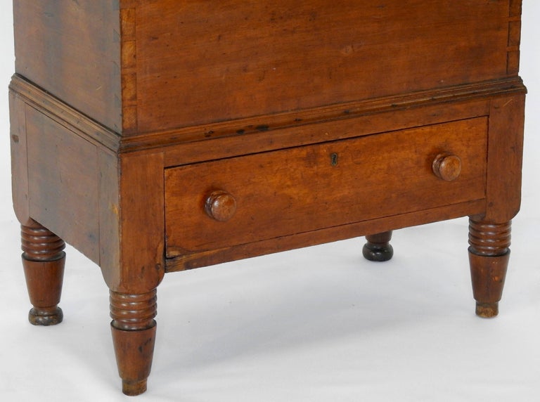 Cherrywood American Sugar Chest with One Drawer, 19th Century For Sale ...