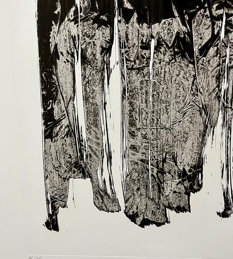 Chihung Yang - Abstract Expressionist Taiwanese Etching Chihung Yang ...