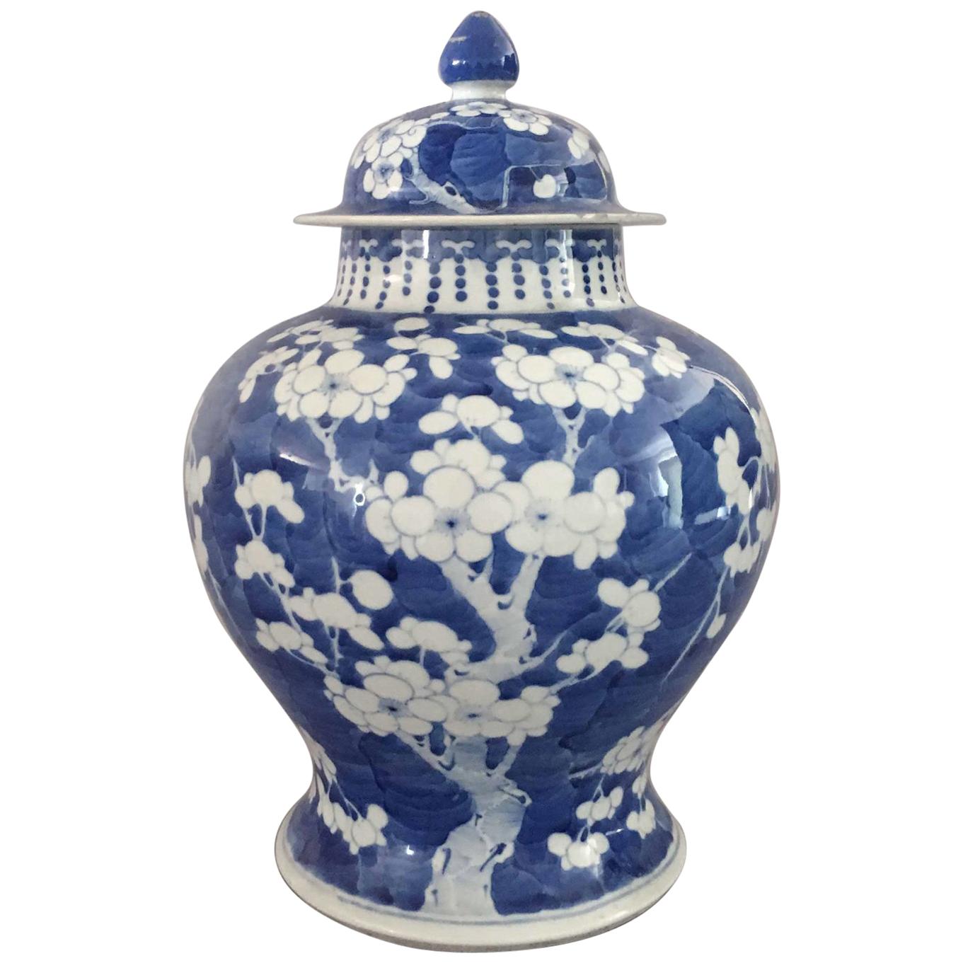 Chinese Export Prunus Vase and Lid For Sale at 1stDibs
