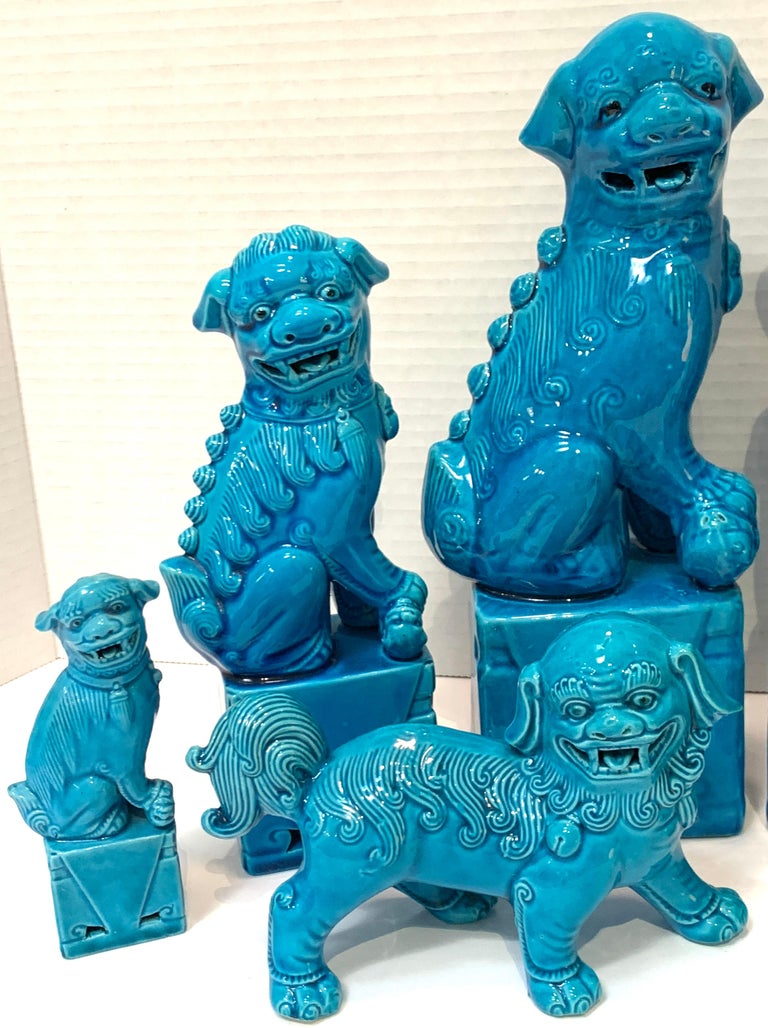 Chinese Export Turquoise Foo Dogs, A Collection at 1stDibs