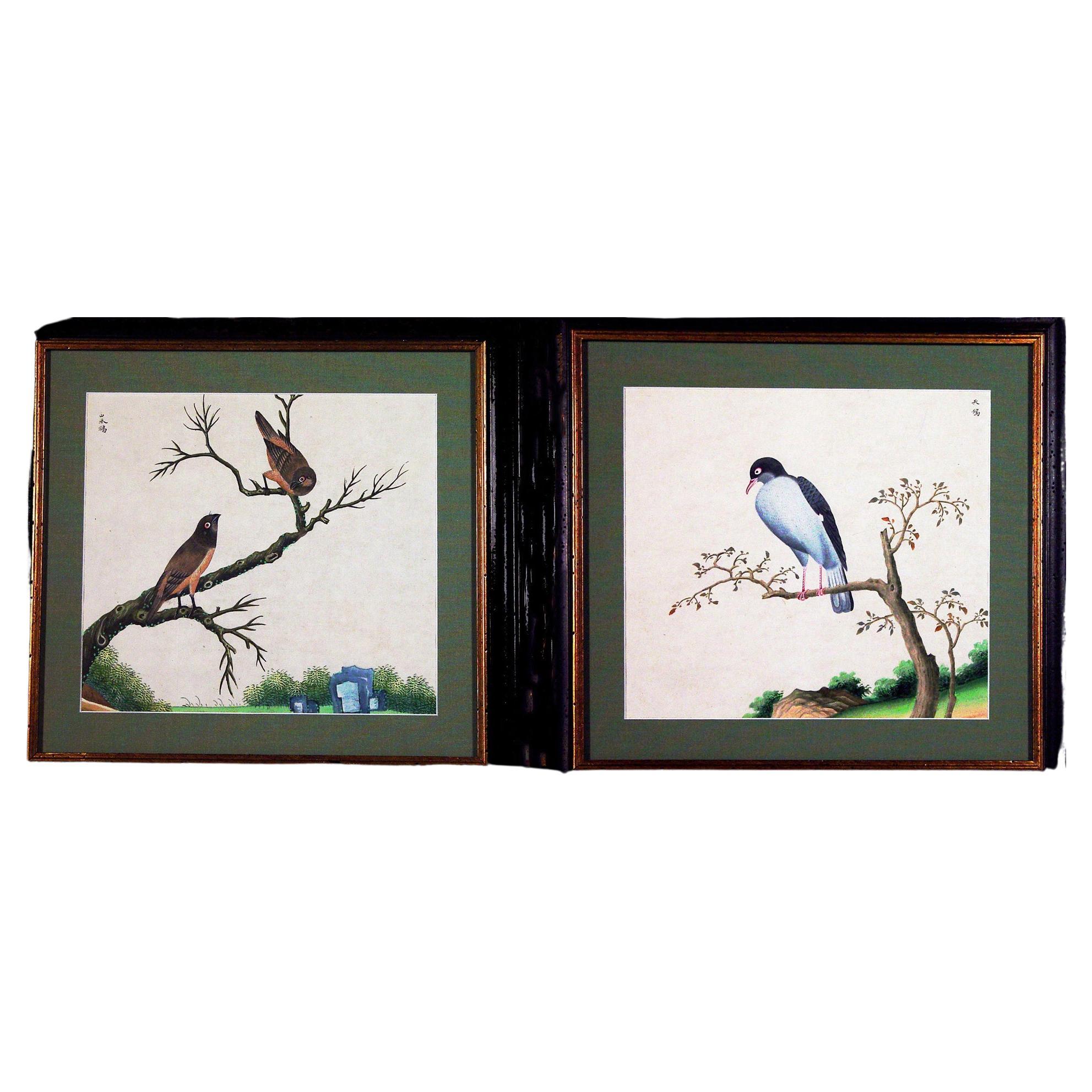 Four '4' Chinese Export Paintings at 1stDibs