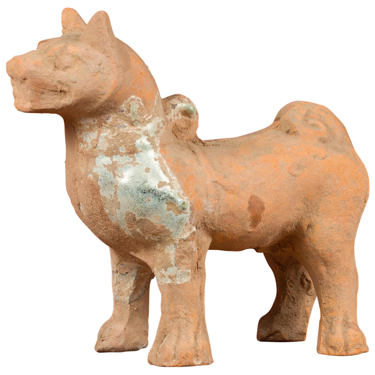 Ancient Chinese Han Dynasty Pottery Horse Head Sculpture, 202 BC at ...